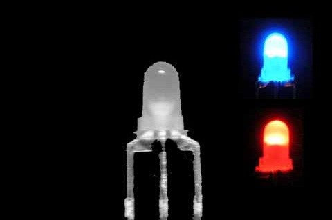 LED 3mm Dual Color Red / Blue Common Anode | Circuitrocks
